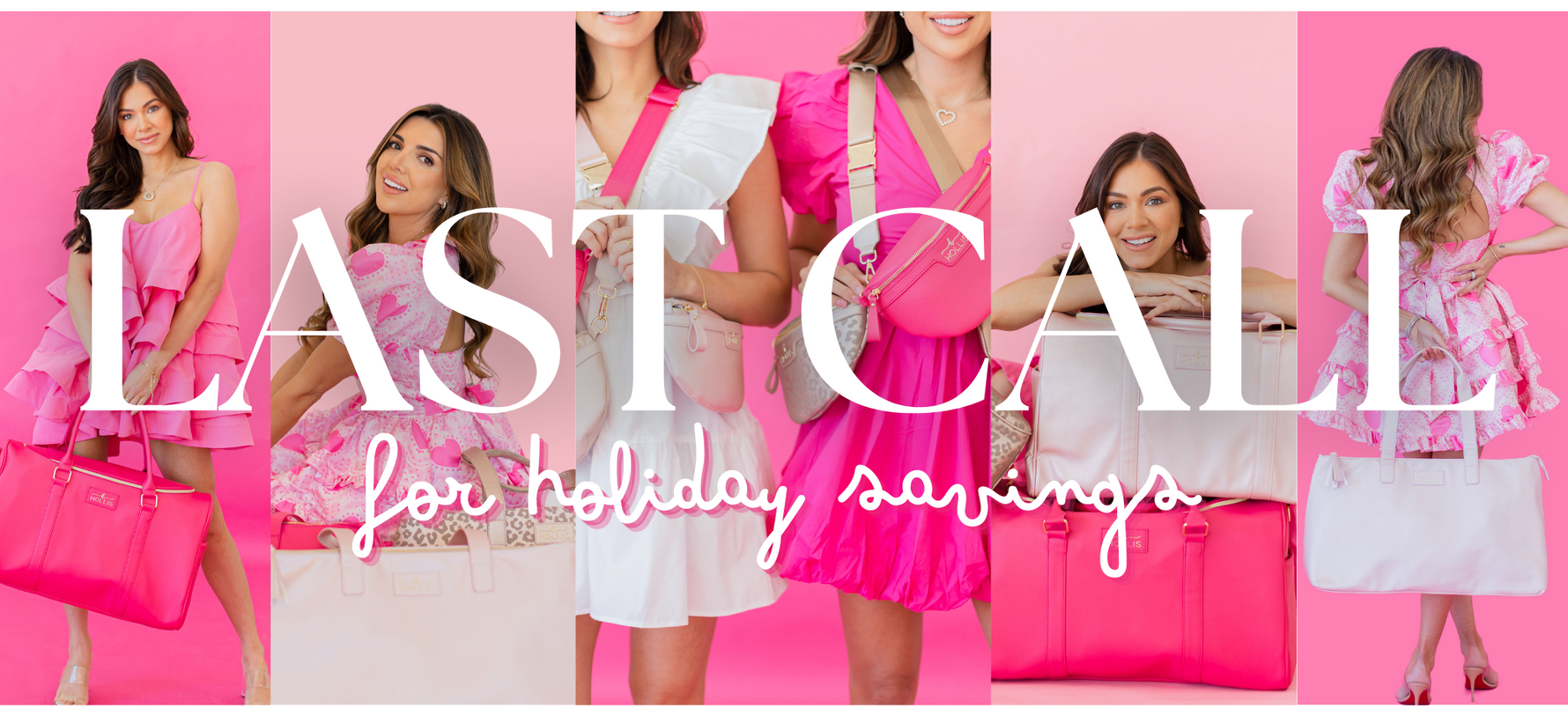 Hollis luxury travel and luxury makeup bags